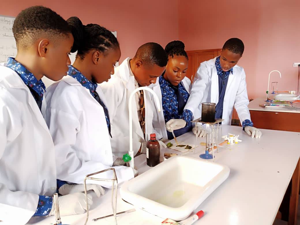 Home - Divine Seeds Schools